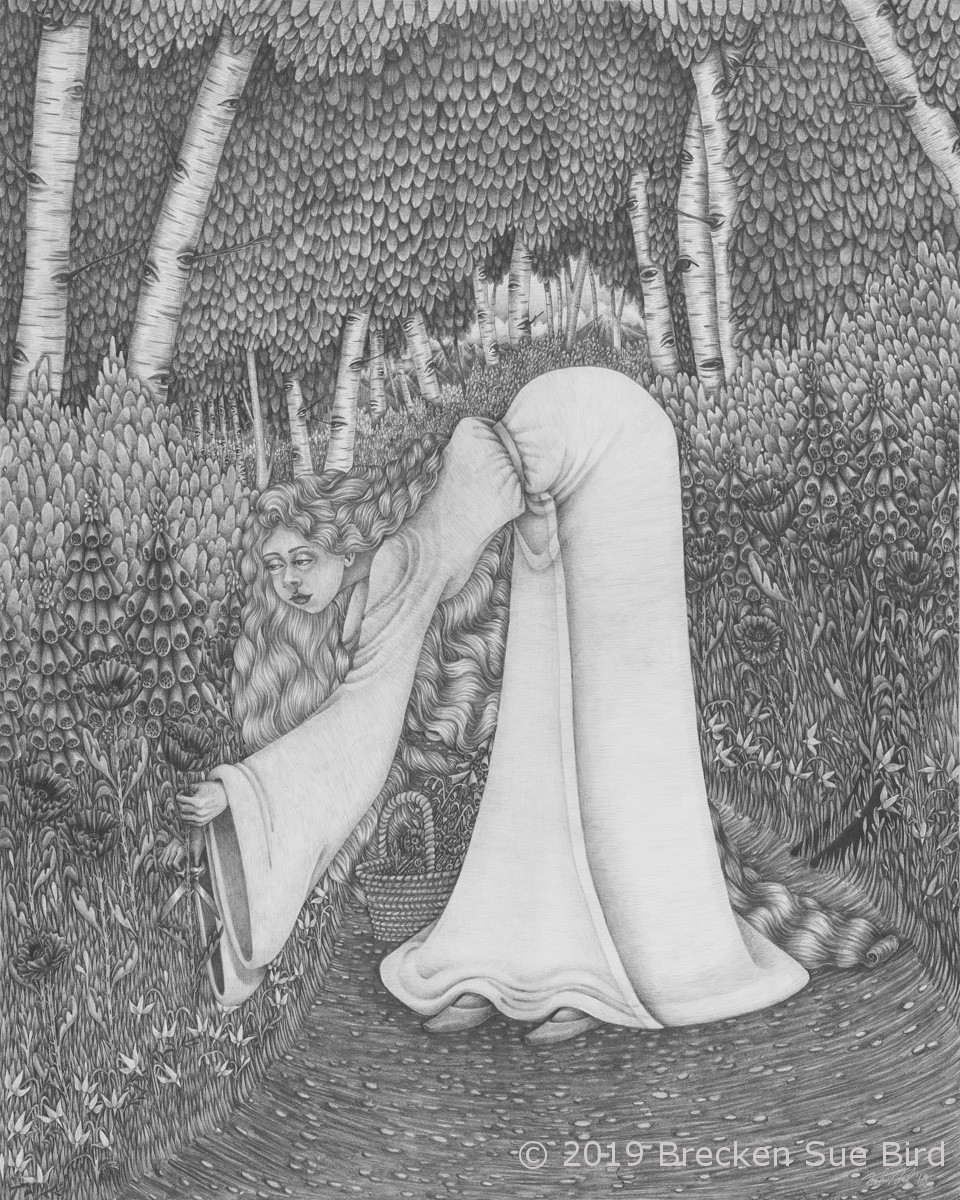 Brecken Sue Bird | Portfolio