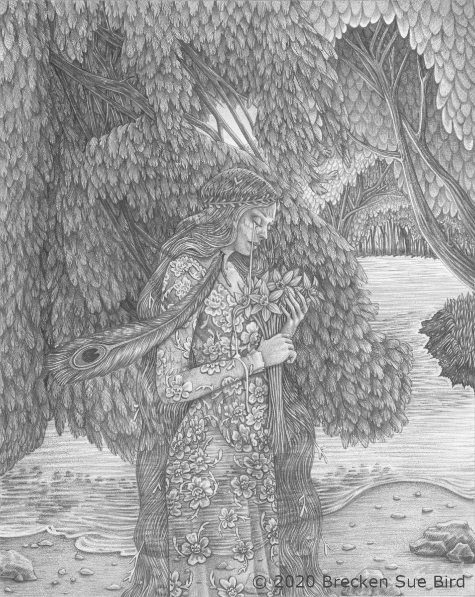 Brecken Sue Bird | Portfolio